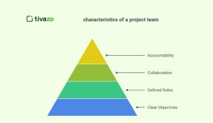 What Are Project Team Roles? 7 Powerful Duties | Tivazo